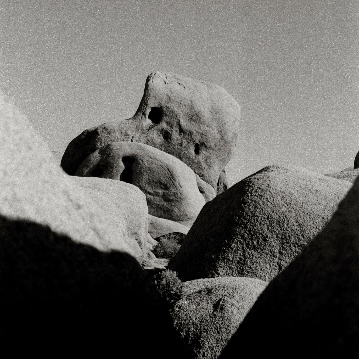 ELENA CREMONA – Guest Editions