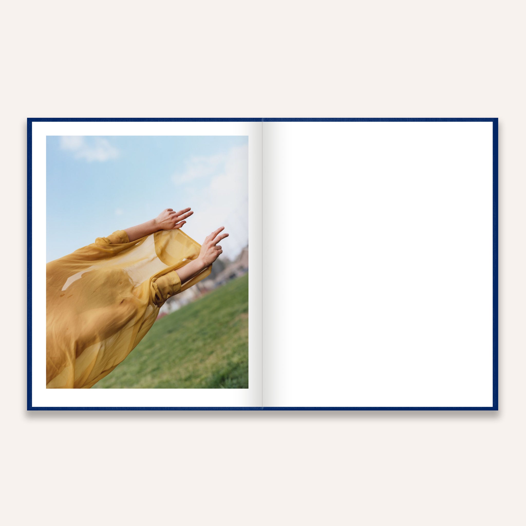 Laura McCluskey, Blue Above – Guest Editions